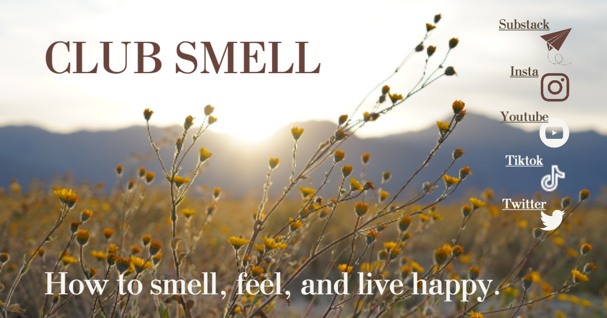 CLUB SMELL